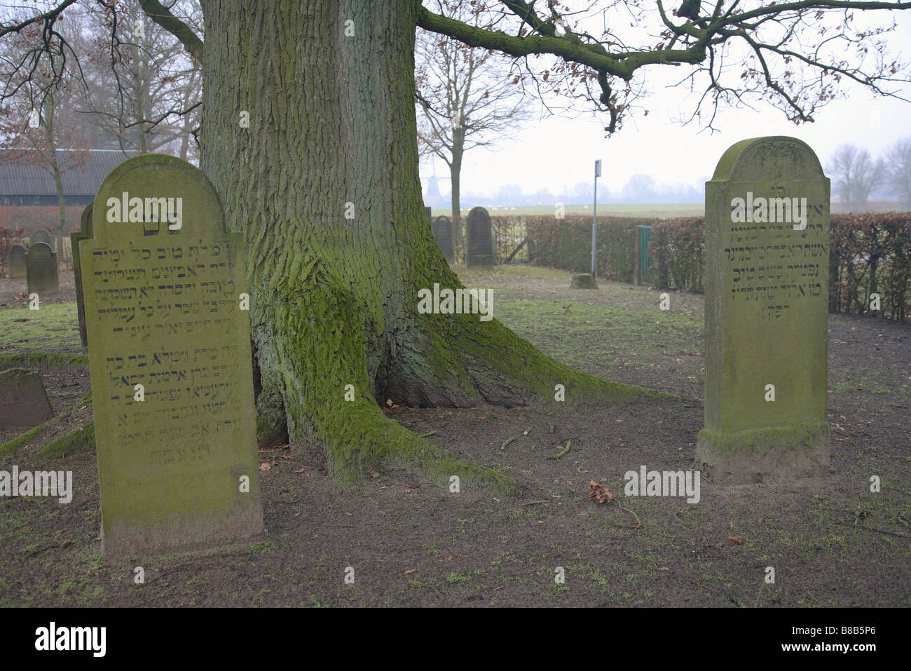 Overijssel Netherlands Denekamp Jewish graveyard Stock Photo - Alamy