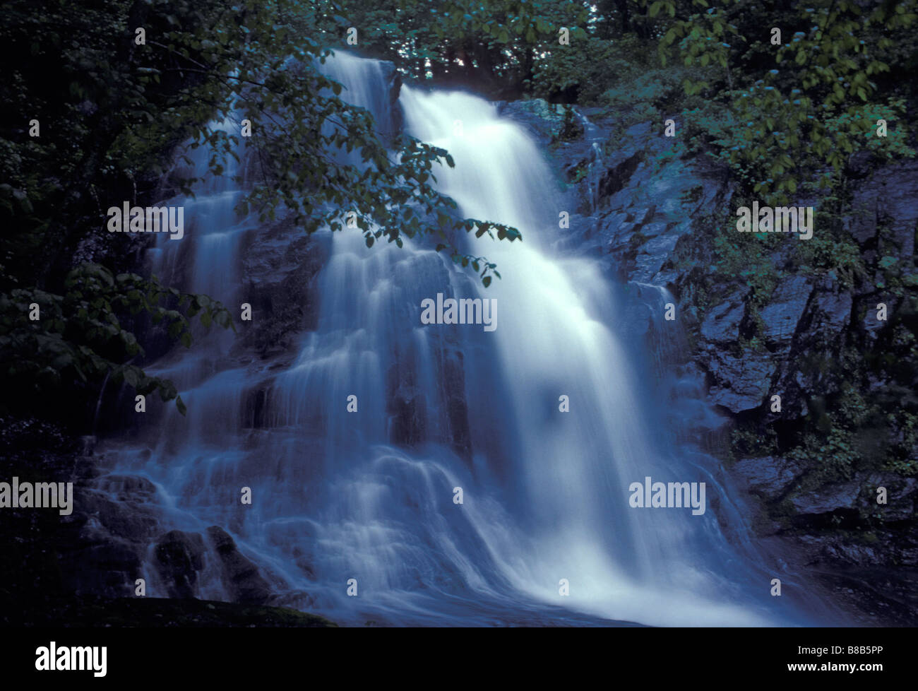 Stream and waterfall in Blue Ridge Mountains Stock Photo - Alamy