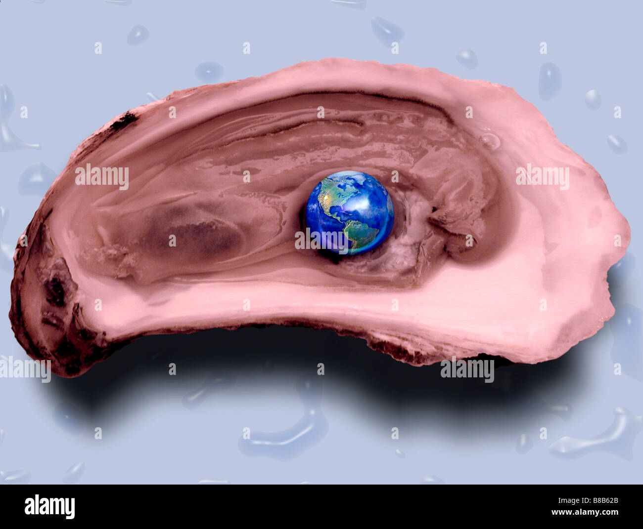 FV3871, Kent Smith; Oyster Globe Stock Photo - Alamy