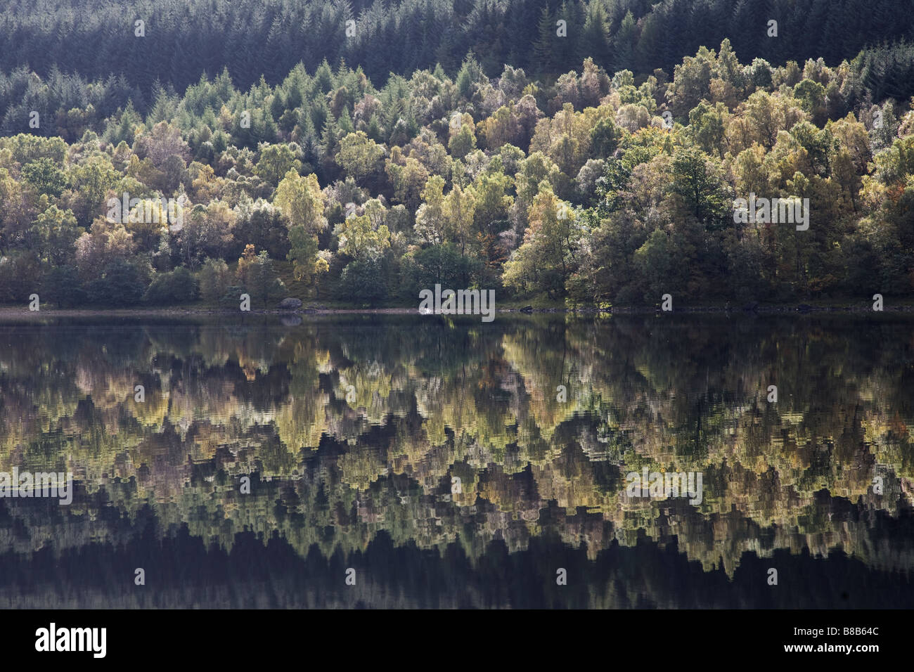 Green landscape loch trees hi-res stock photography and images - Alamy