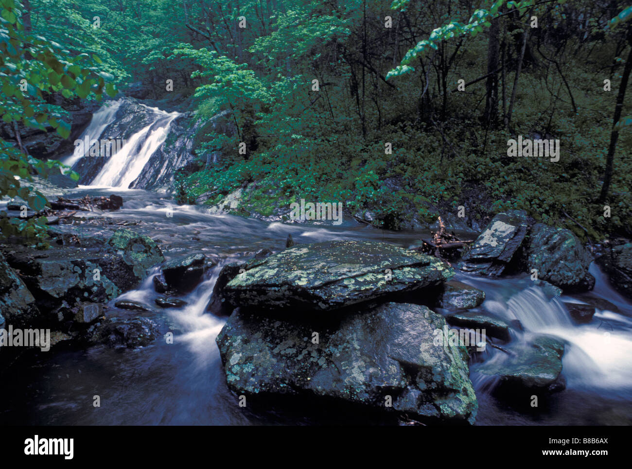 Stream and waterfall in Blue Ridge Mountains Stock Photo - Alamy