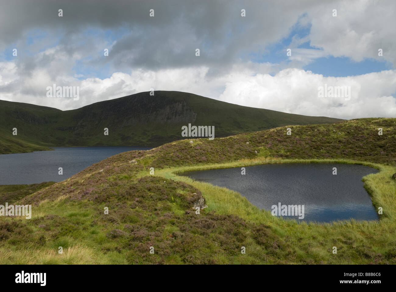 HOGG S WELL WITH LOCH SKEEN SKENE AND LOCHCRAIG HEAD BEHIND Stock Photo ...