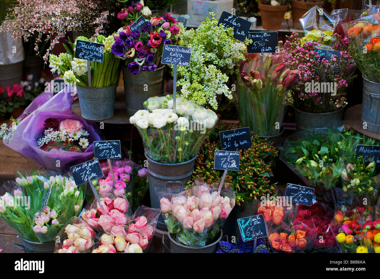 Flower stand, Paris Stock Photo - Alamy