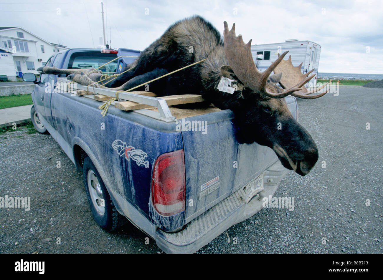 Transportation of dead hi-res stock photography and images - Alamy