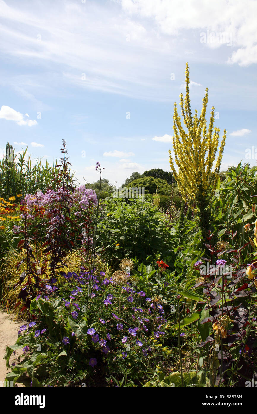 A COLOURFUL SUMMER BORDER IN AN ENGLISH COUNTRY GARDEN Stock Photo - Alamy