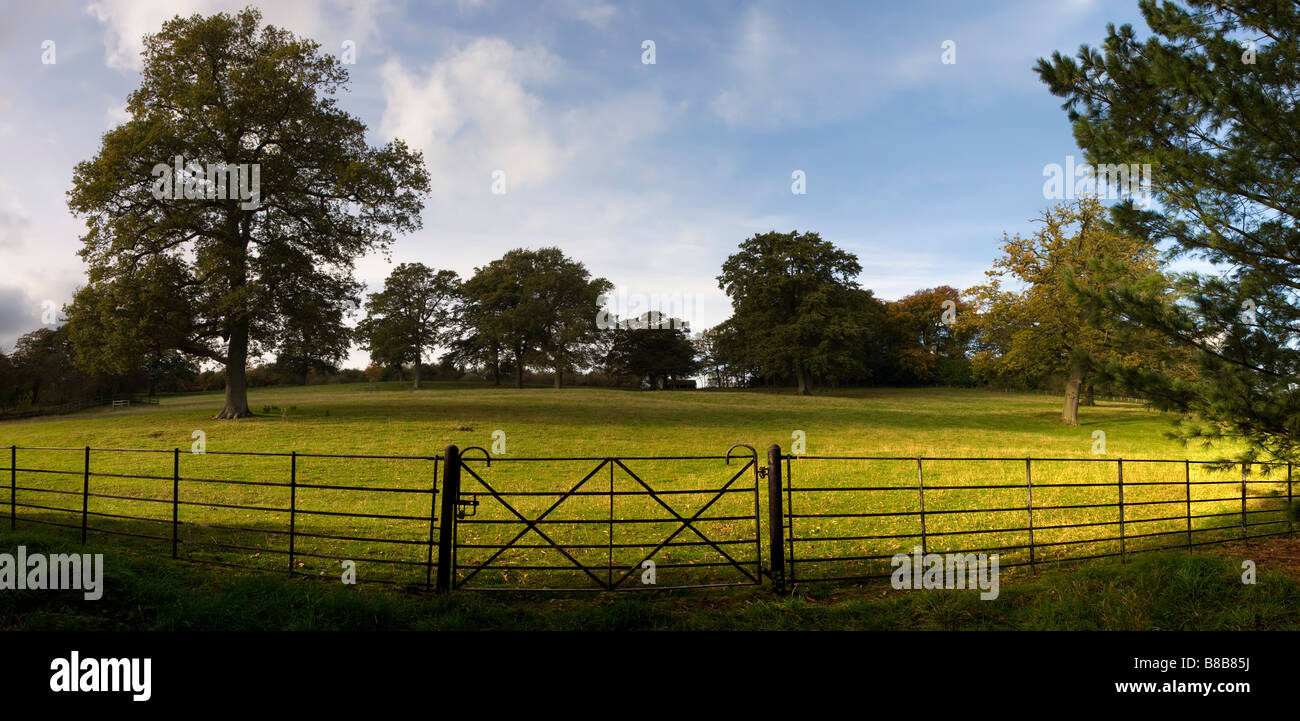 The grounds of a country estate Stock Photo - Alamy