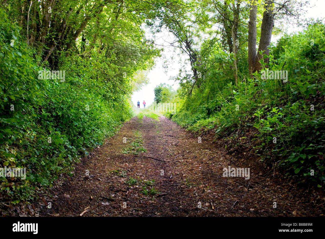 People Walking through Path Stock Photo - Alamy