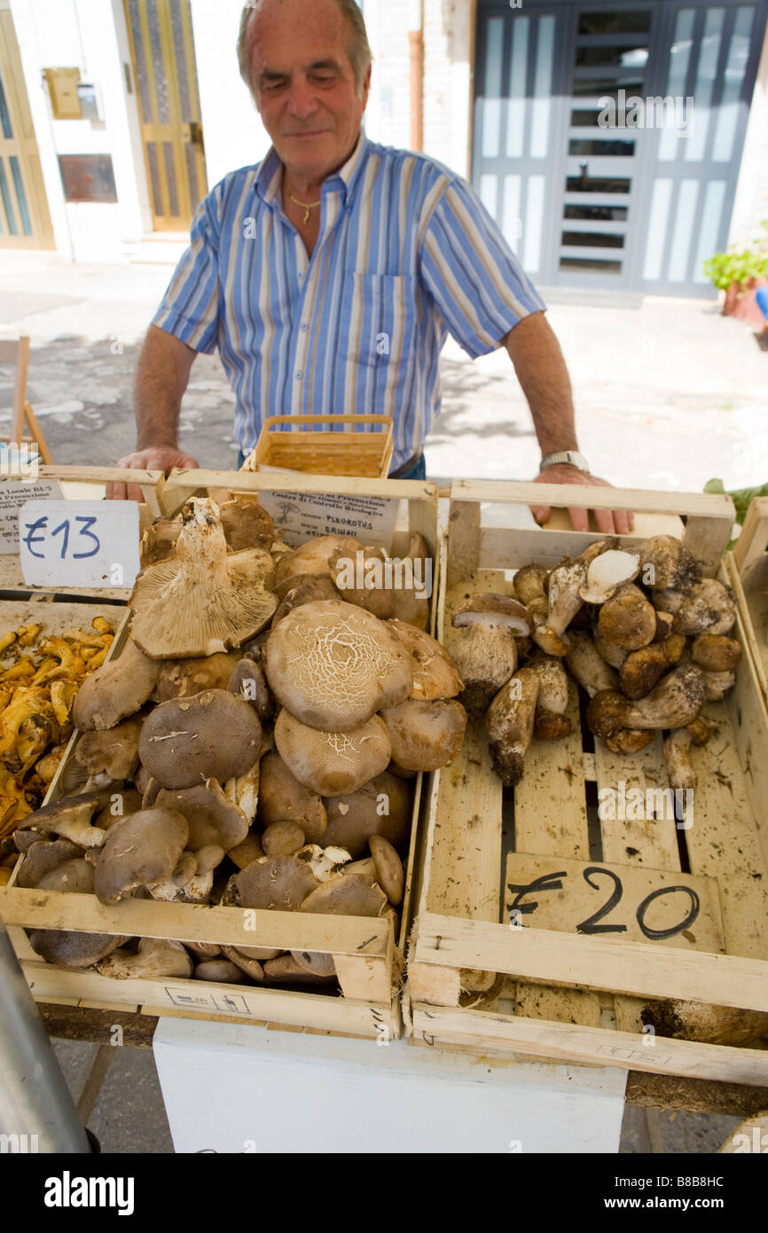 Mushrooms for sale on a market stall Castellana Grotte Puglia Italy ...