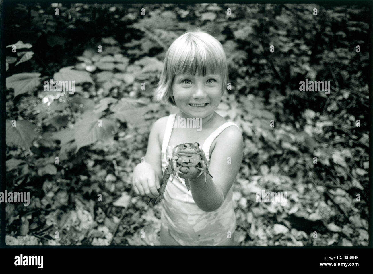 Frog time hi-res stock photography and images - Alamy