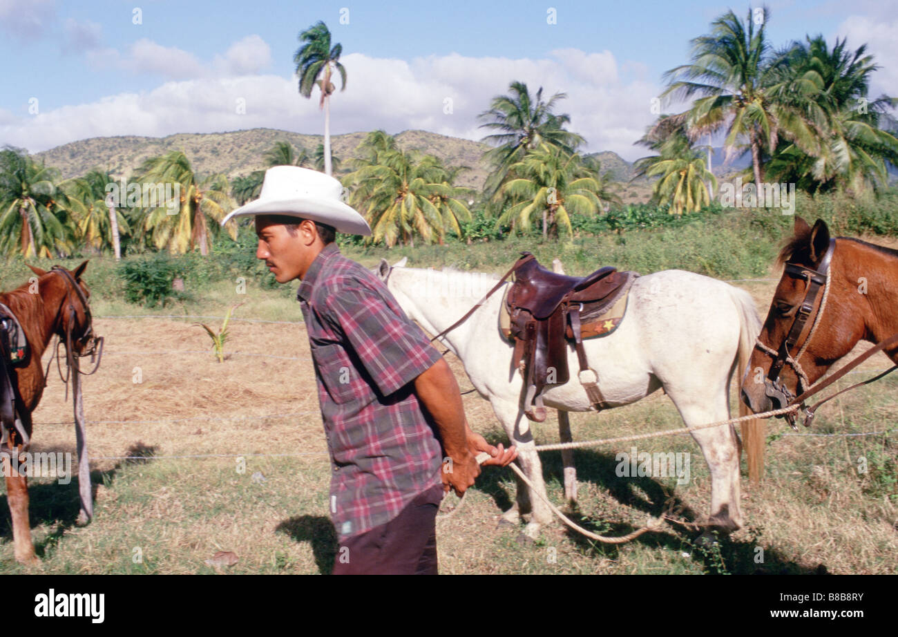 Cuban Man walking Horse, Cuba Stock Photo - Alamy