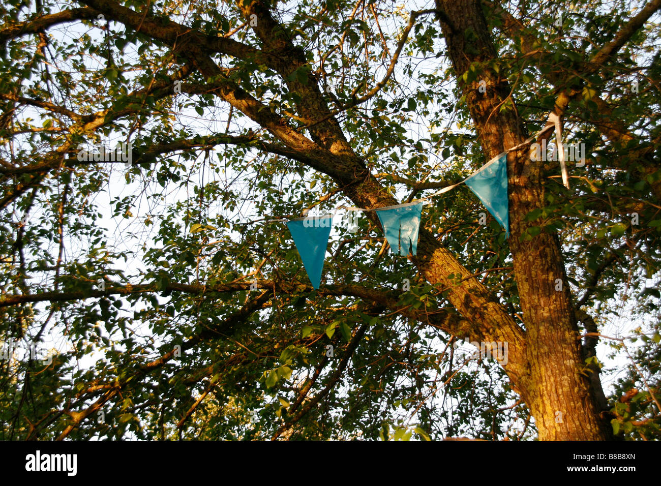 many colourful carnival flags decorations in street party outdoors in ...