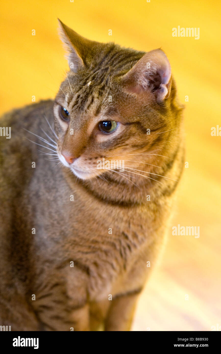 Mason county washington hi-res stock photography and images - Alamy