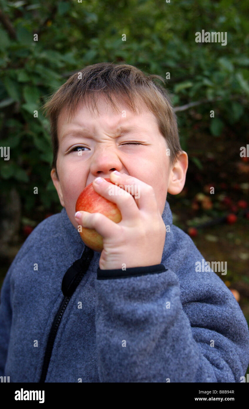 Biting apple orchard hi-res stock photography and images - Alamy