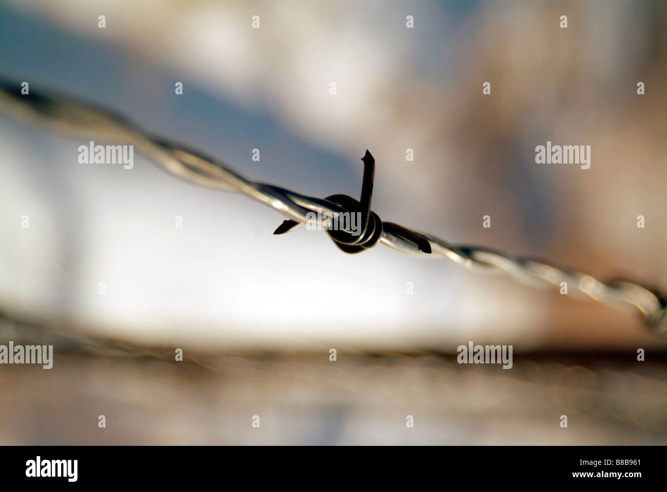 Close Up Barbed Wire Fence Stock Photo - Alamy