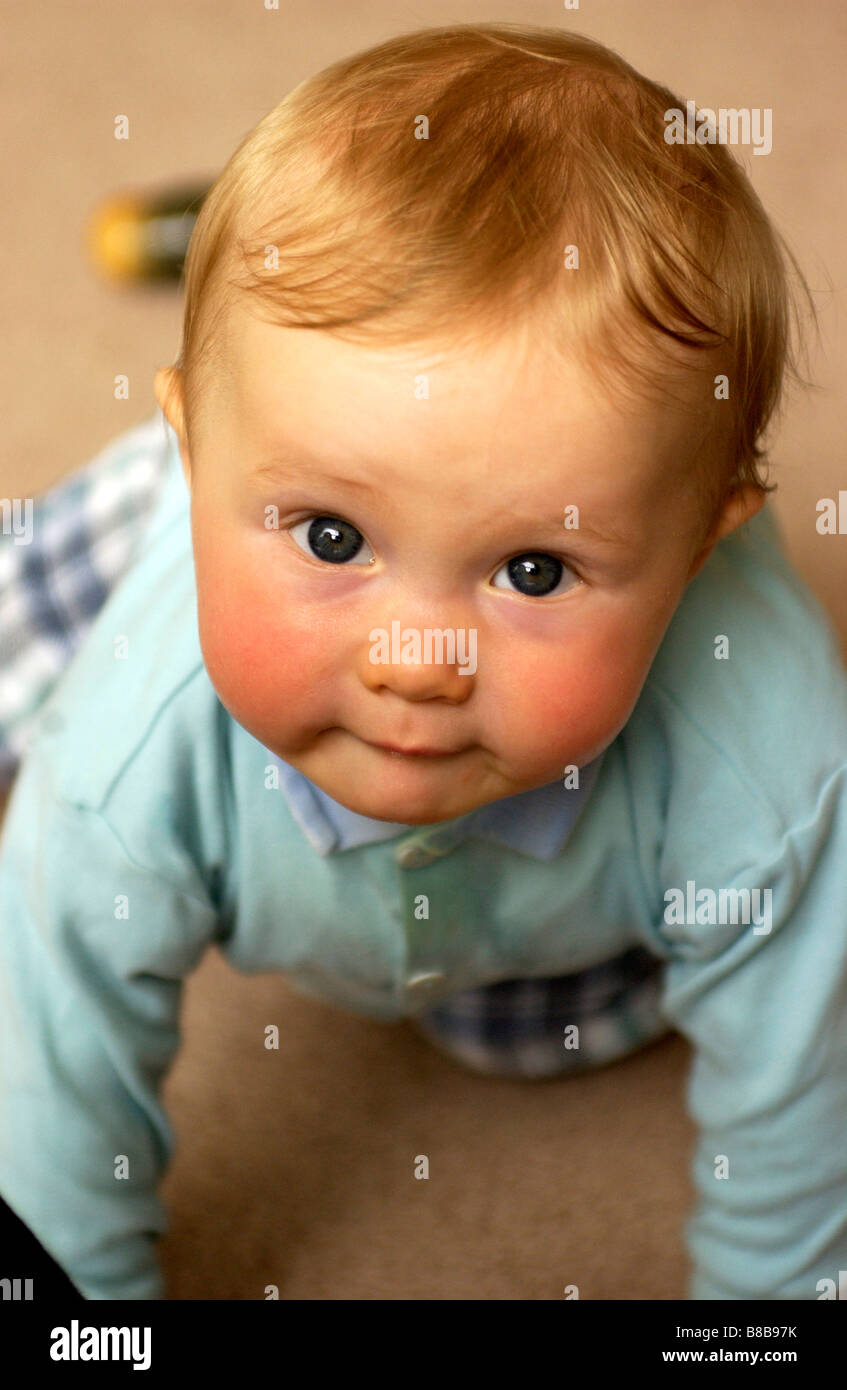 FV4155, Brian Summers; Baby Crawling looking Up Stock Photo - Alamy