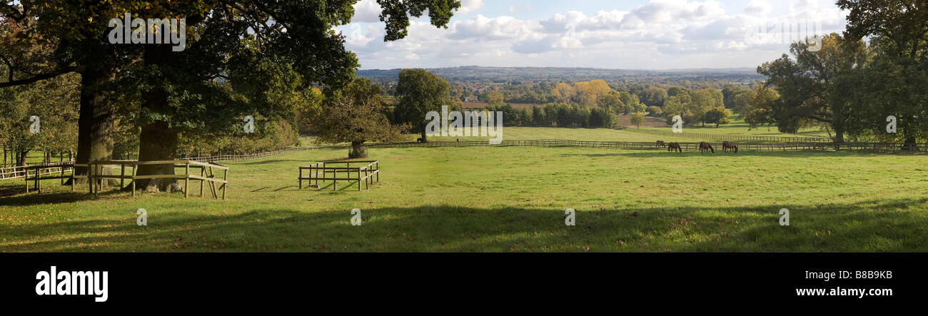 The grounds of a country estate Stock Photo - Alamy