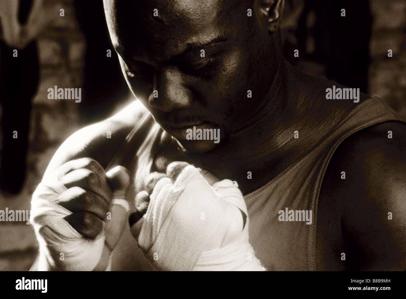 Boxers Face Stock Photos & Boxers Face Stock Images - Alamy