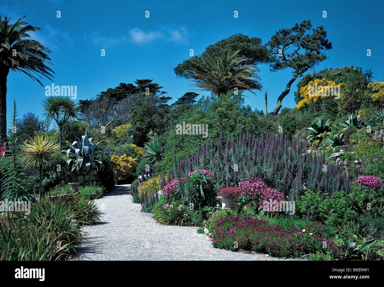 A view of the exotic and tropical borders of the Middle Terrace at ...