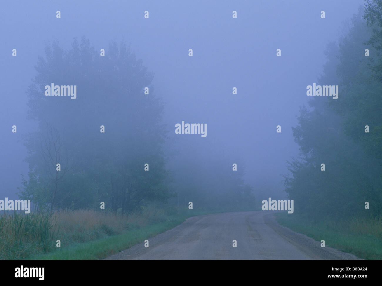 Rural Road Mist, Bradford,Ontario Stock Photo - Alamy