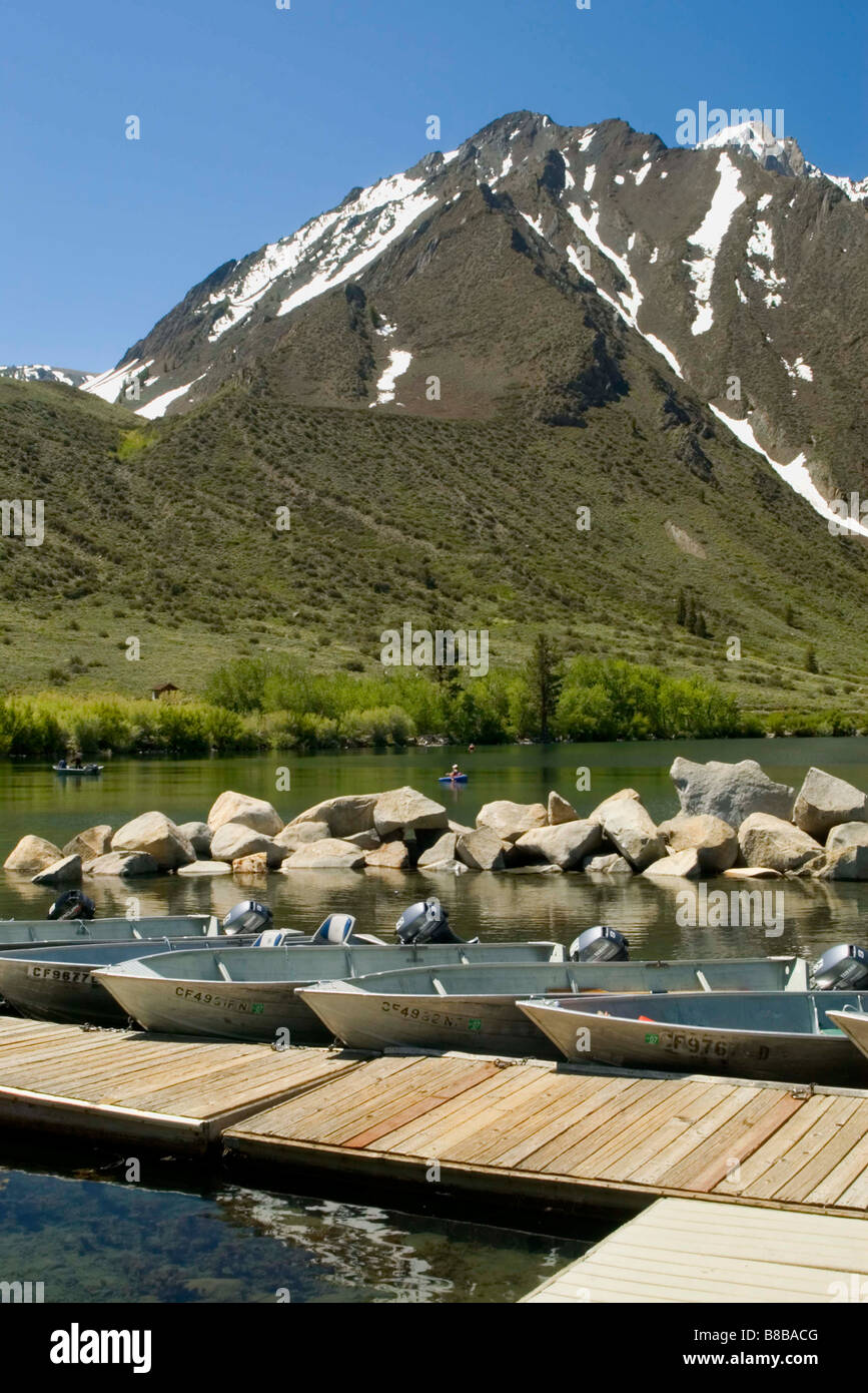 Convict lake trout hi-res stock photography and images - Alamy