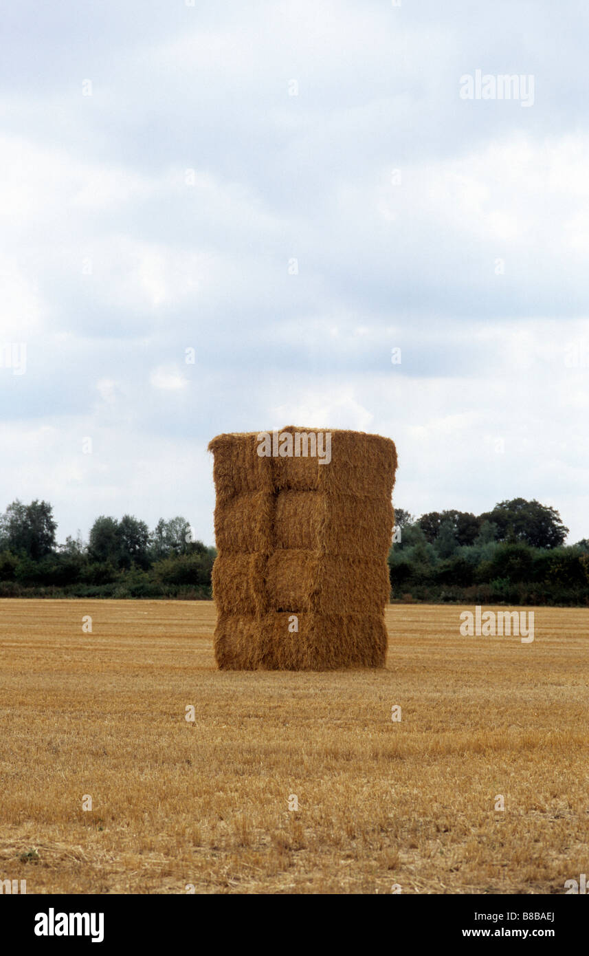 Traditional tower of square haystacks in harvested wheat field Stock ...