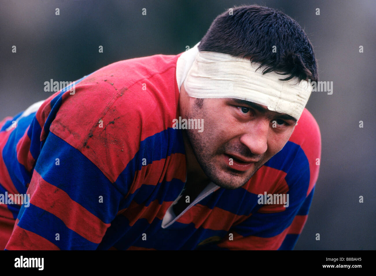 Portrait of rugby player Stock Photo - Alamy