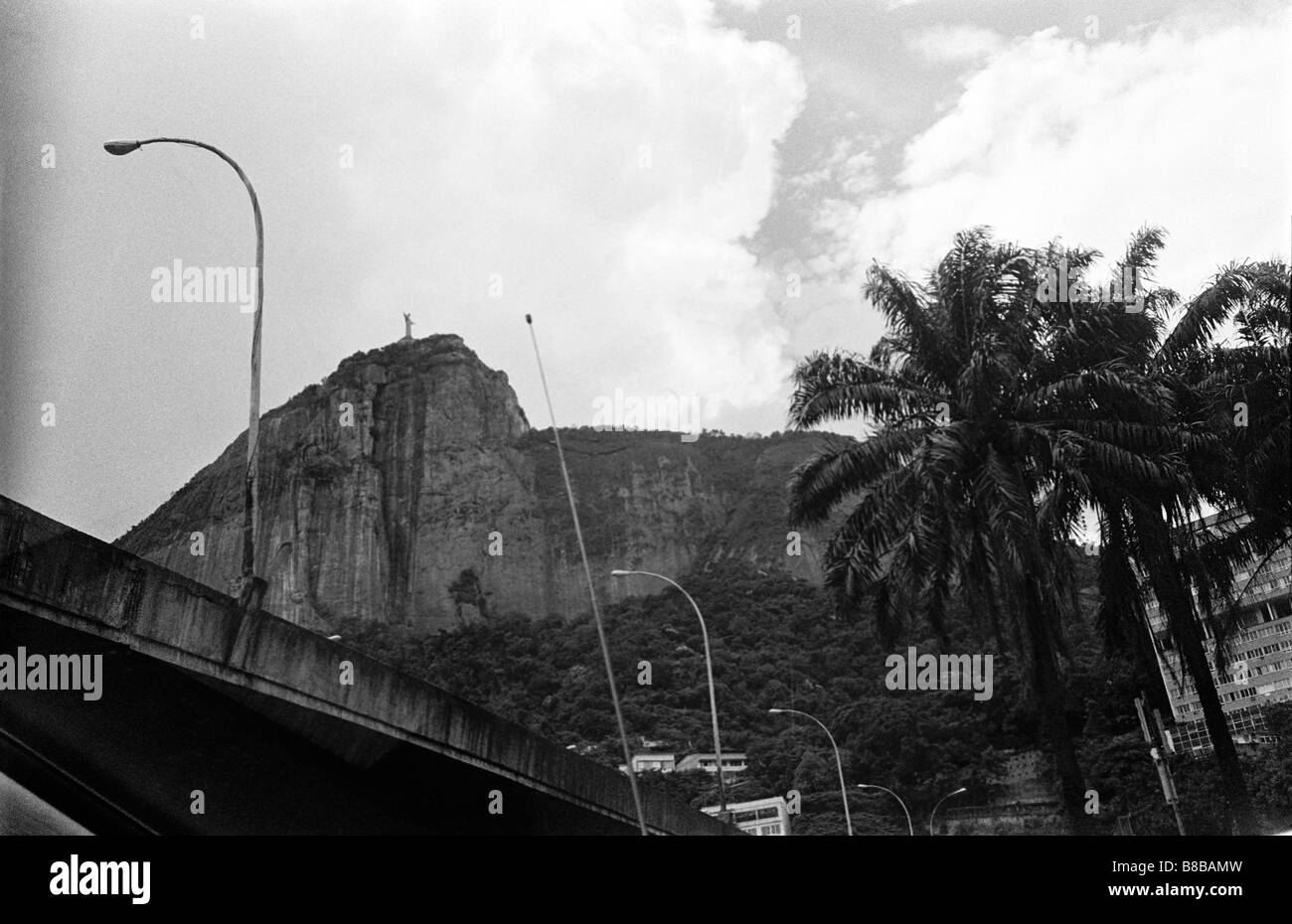 Highway Overpass, Mountain Palm Tree, Rio de Janeiro, Brazil B/W Stock ...