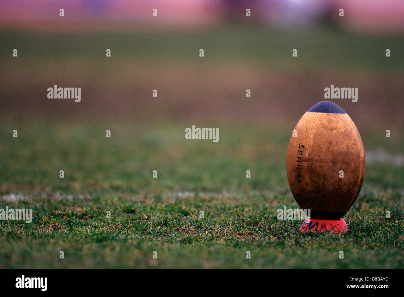 Rugby ball on tee Stock Photo - Alamy