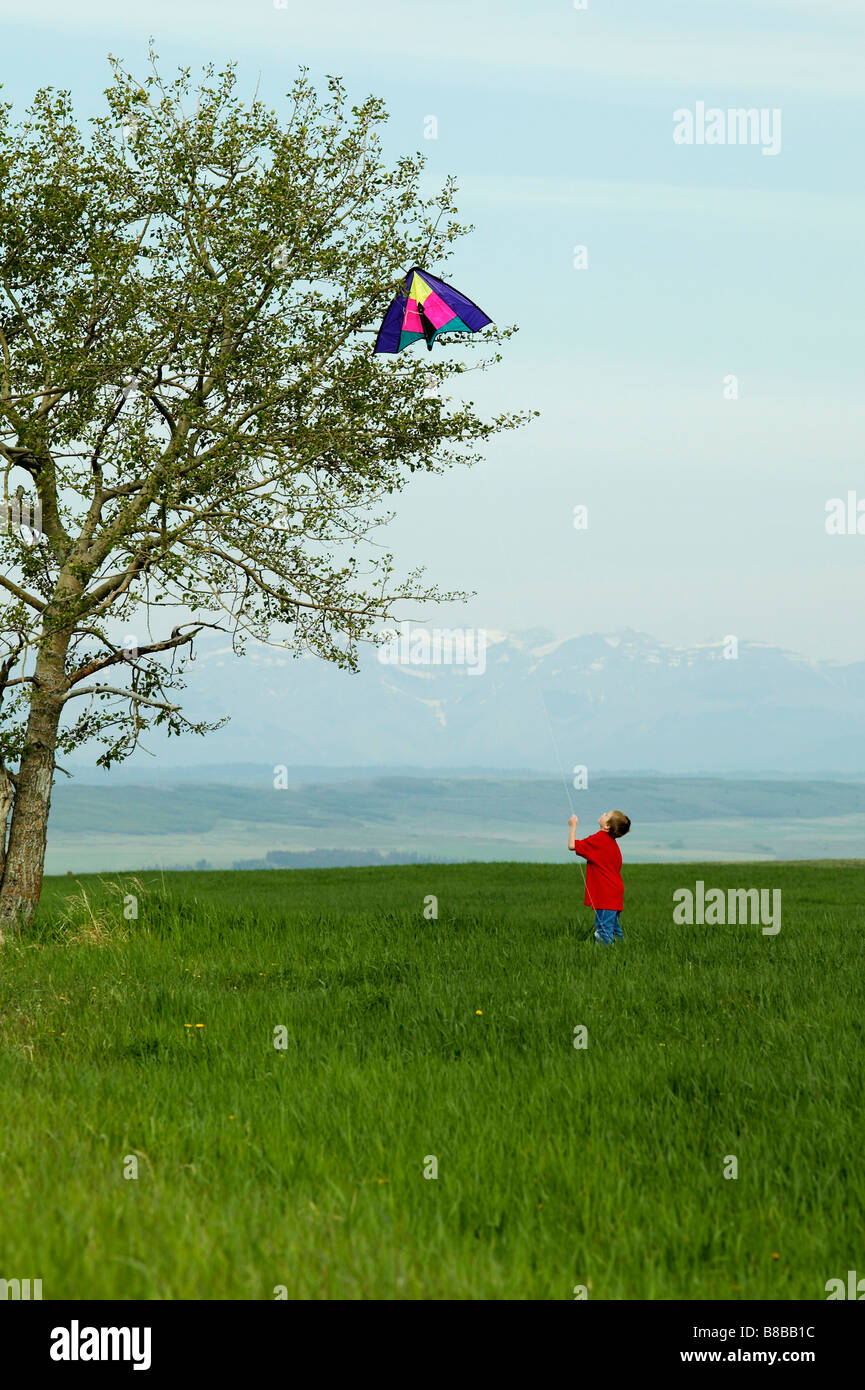 Boy Kite Stuck Tree, Calgary, Alberta Stock Photo - Alamy
