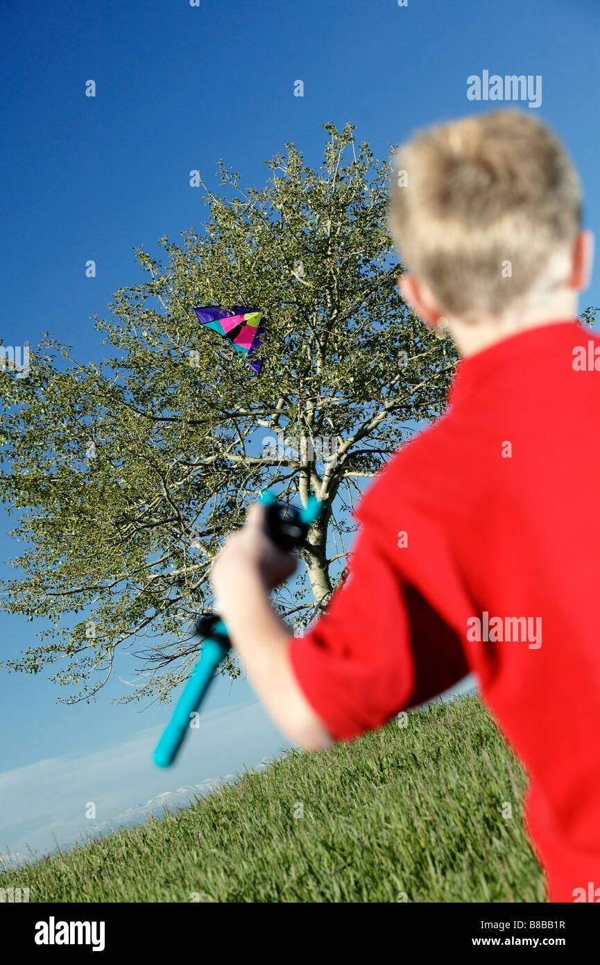 Boy Kite Stuck Tree, Calgary, Alberta Stock Photo - Alamy