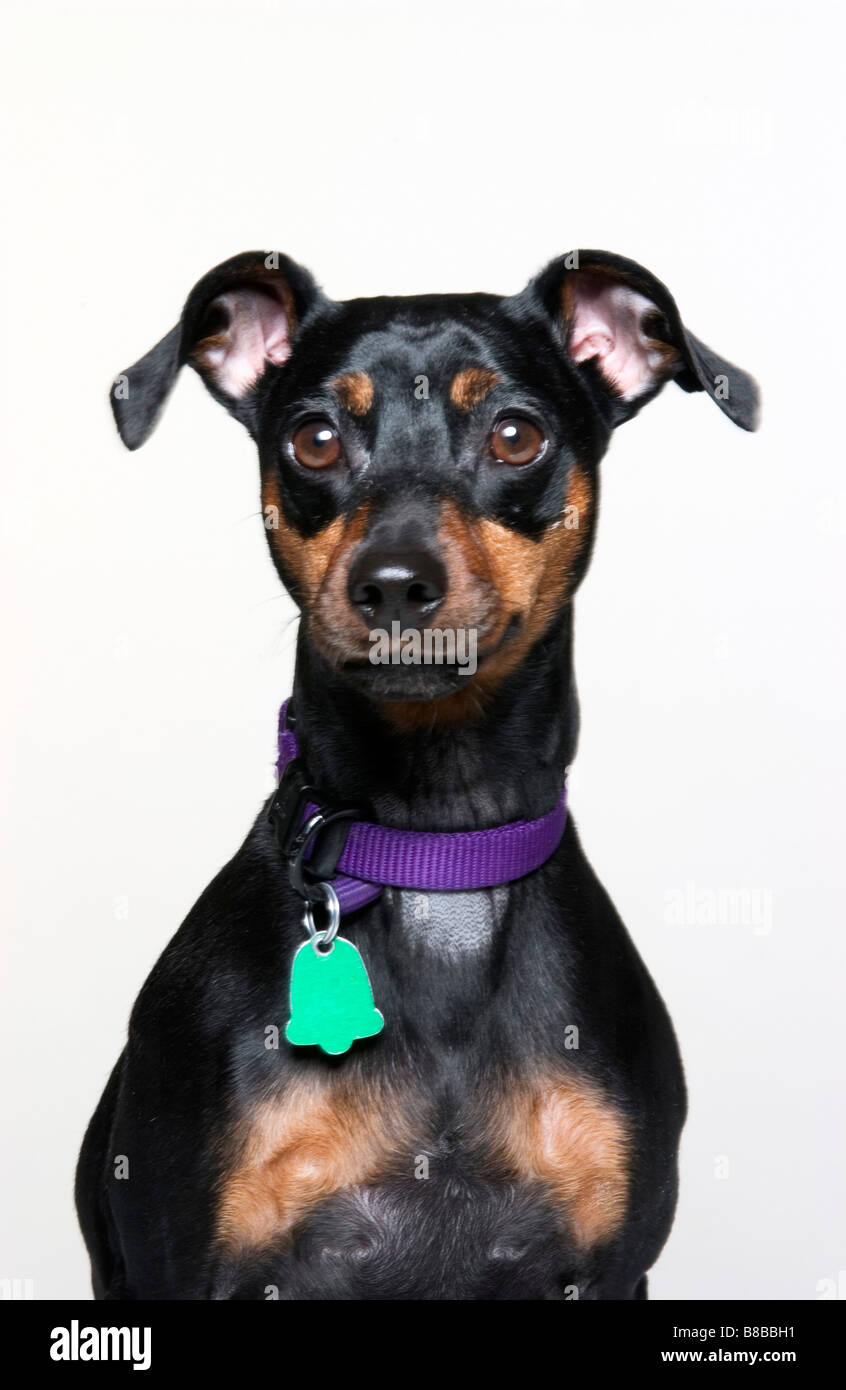 See min hi-res stock photography and images - Alamy