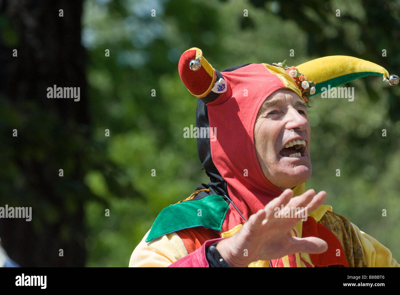Medieval court jester hi-res stock photography and images - Alamy