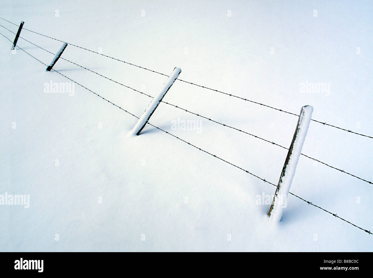 Cremona Alberta High Resolution Stock Photography and Images - Alamy