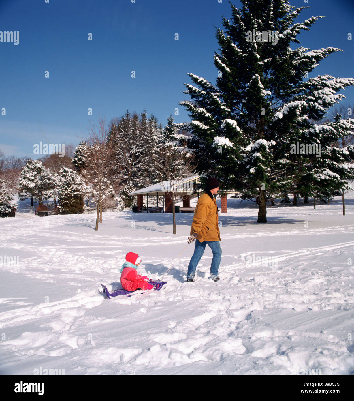 Number sled hi-res stock photography and images - Alamy