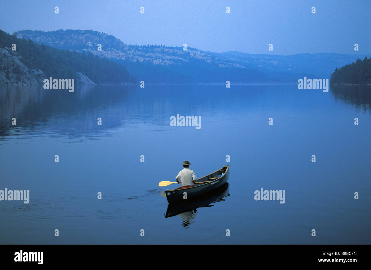 Doug hamilton hi-res stock photography and images - Alamy