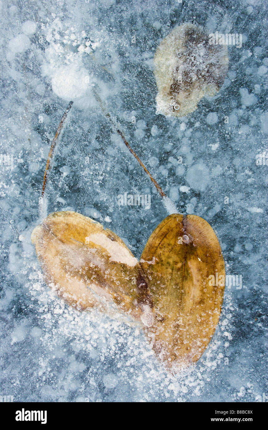 Boggy hi-res stock photography and images - Alamy