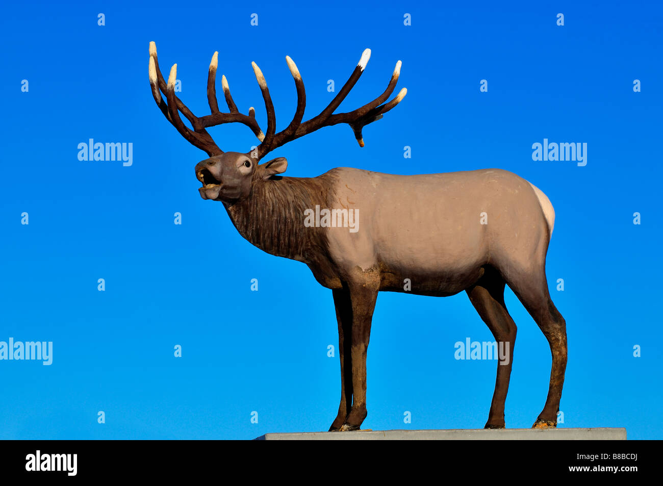 Bull elk statue hi-res stock photography and images - Alamy