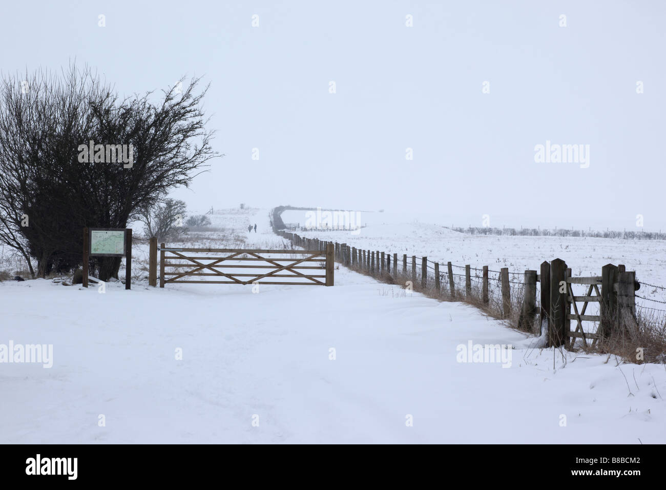 Snow on The Ridgeway National Trail near Marlborough, Wiltshire in ...