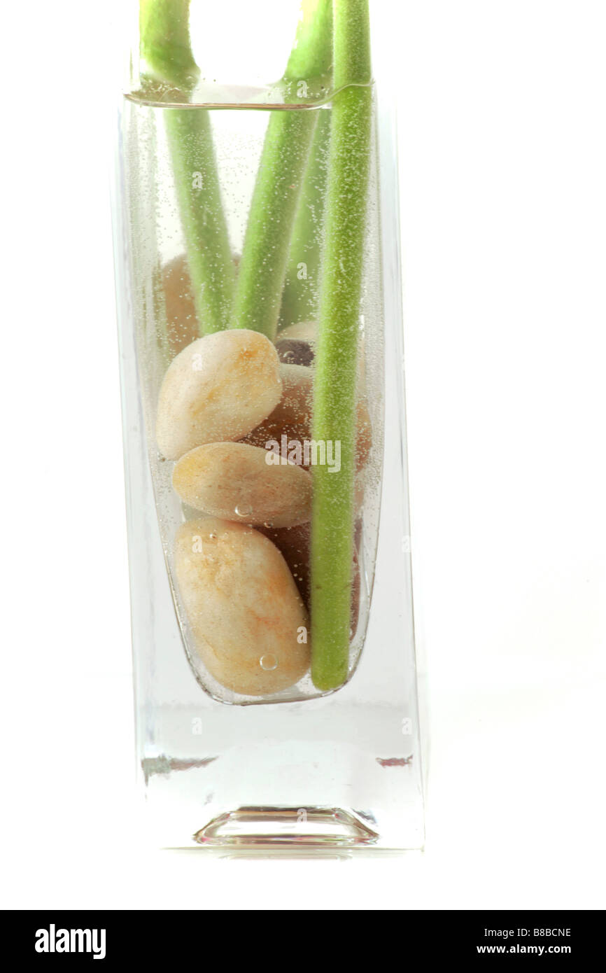 Rock Vase High Resolution Stock Photography and Images - Alamy