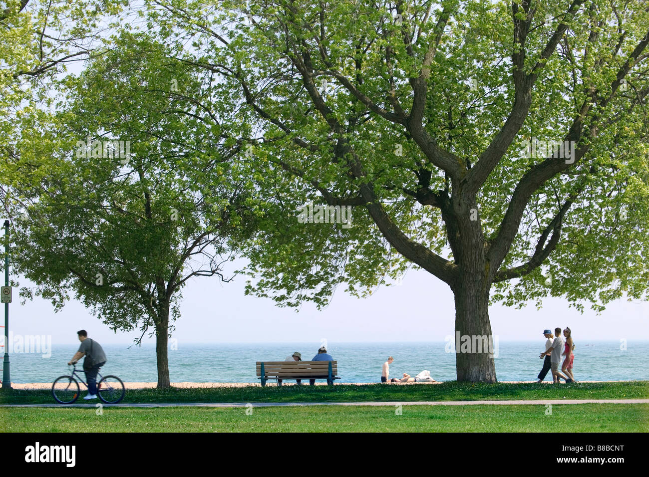 LakeOntario Beaches, Toronto,Ontario Stock Photo - Alamy