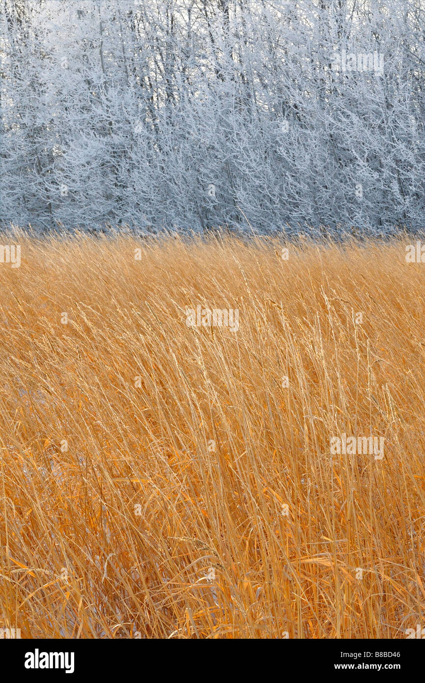 Brown tone winter landscape hi-res stock photography and images - Alamy