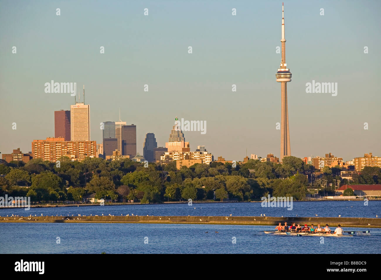 Rowing Boat, Skyline, TorontoOntario Stock Photo - Alamy