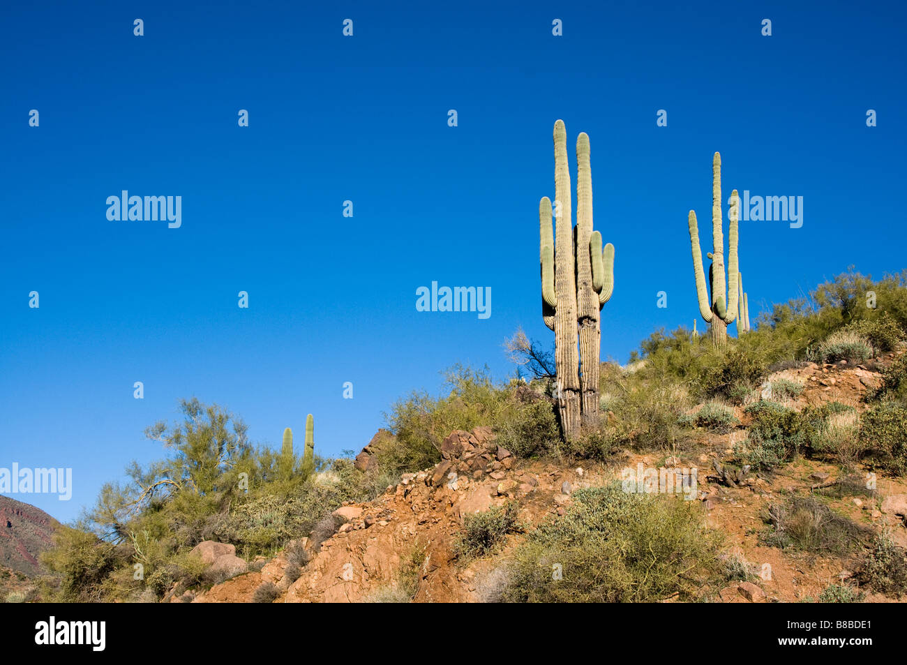 Highway 88 called the apache trail scenic route hi-res stock ...