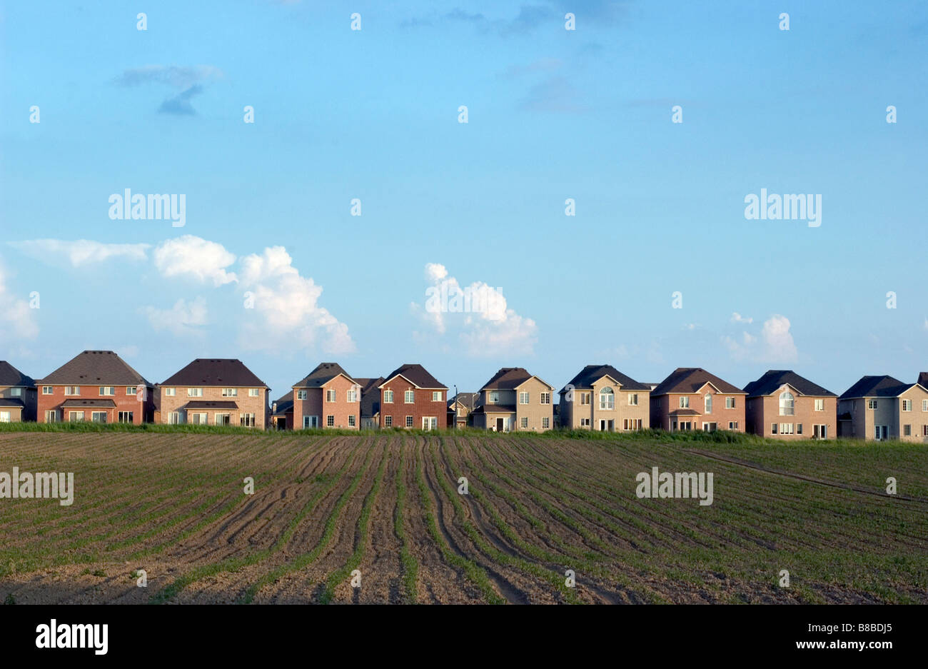 New homes bordered by farm land Stock Photo - Alamy