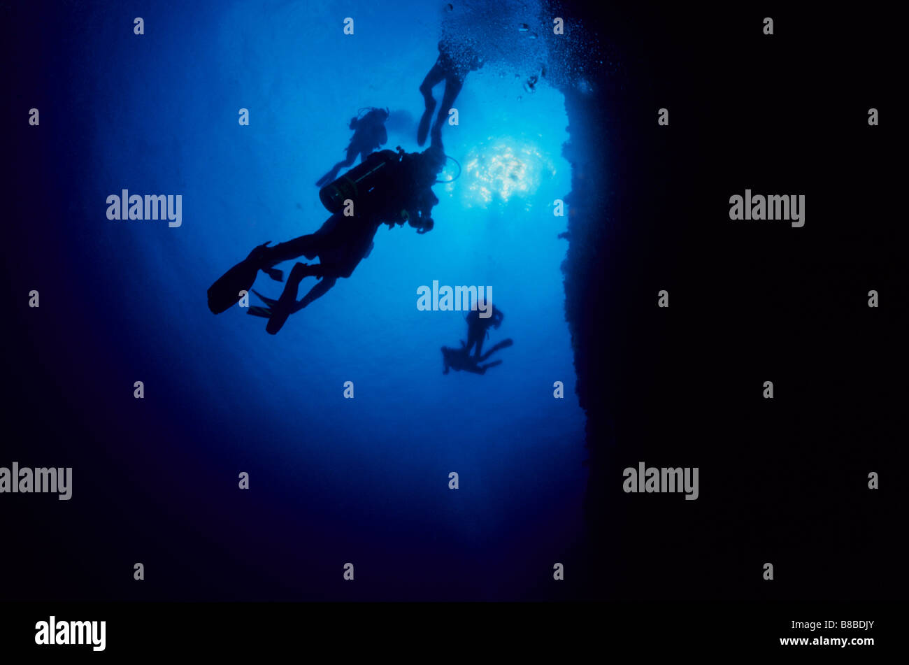 Scuba divers on the drop off. Divers descend an underwater wall in the ...