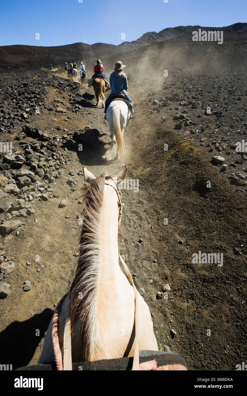 Line of horses and riders heading up a trail in Haleakala Crater ...