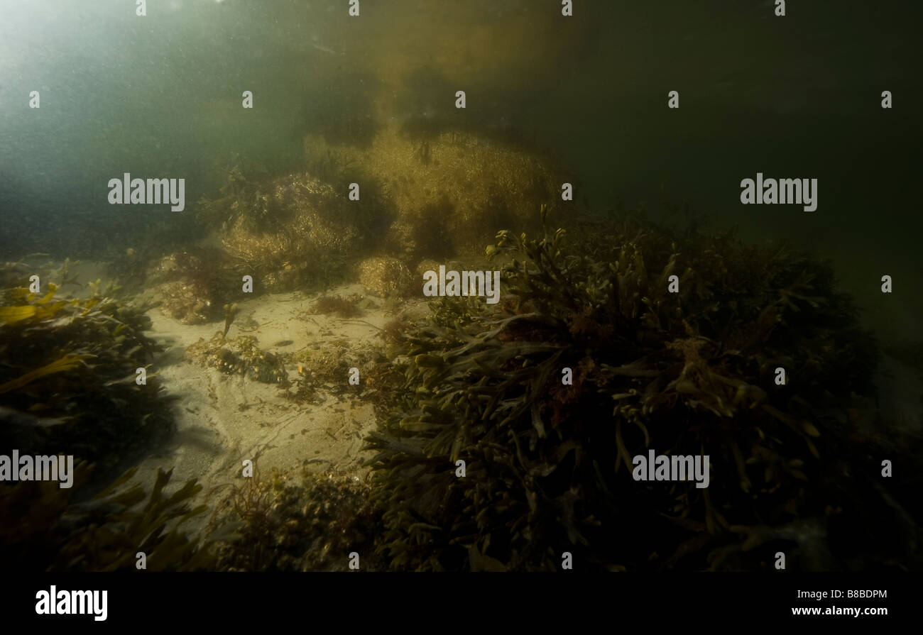 Frozen seabed hi-res stock photography and images - Alamy