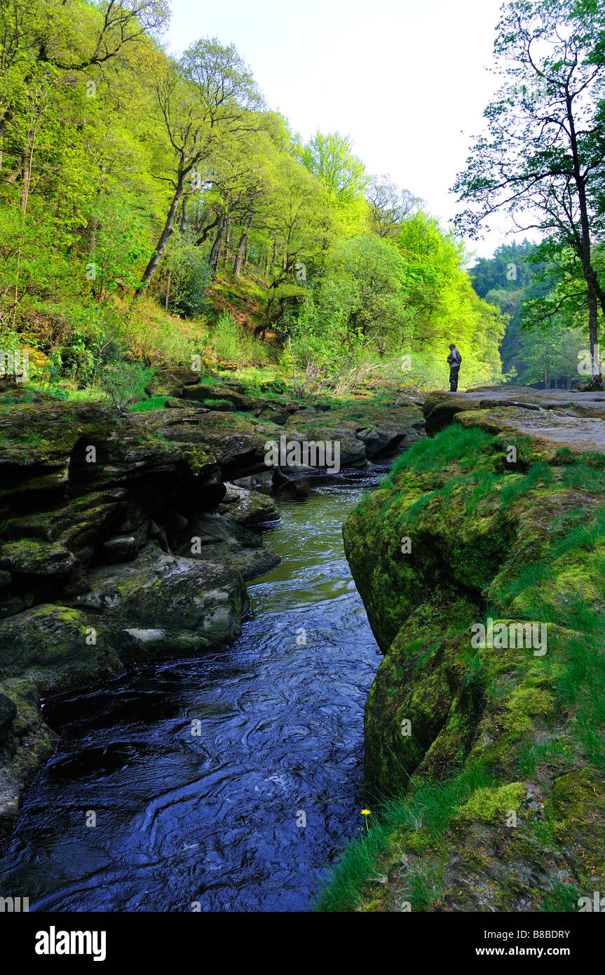 The Deadly but Deceptively Beautiful Strid Waterfall in the valley of ...