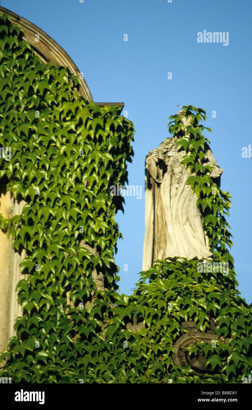 Statue covered with vine leaves, church of SS Peter and Paul, Krakow ...