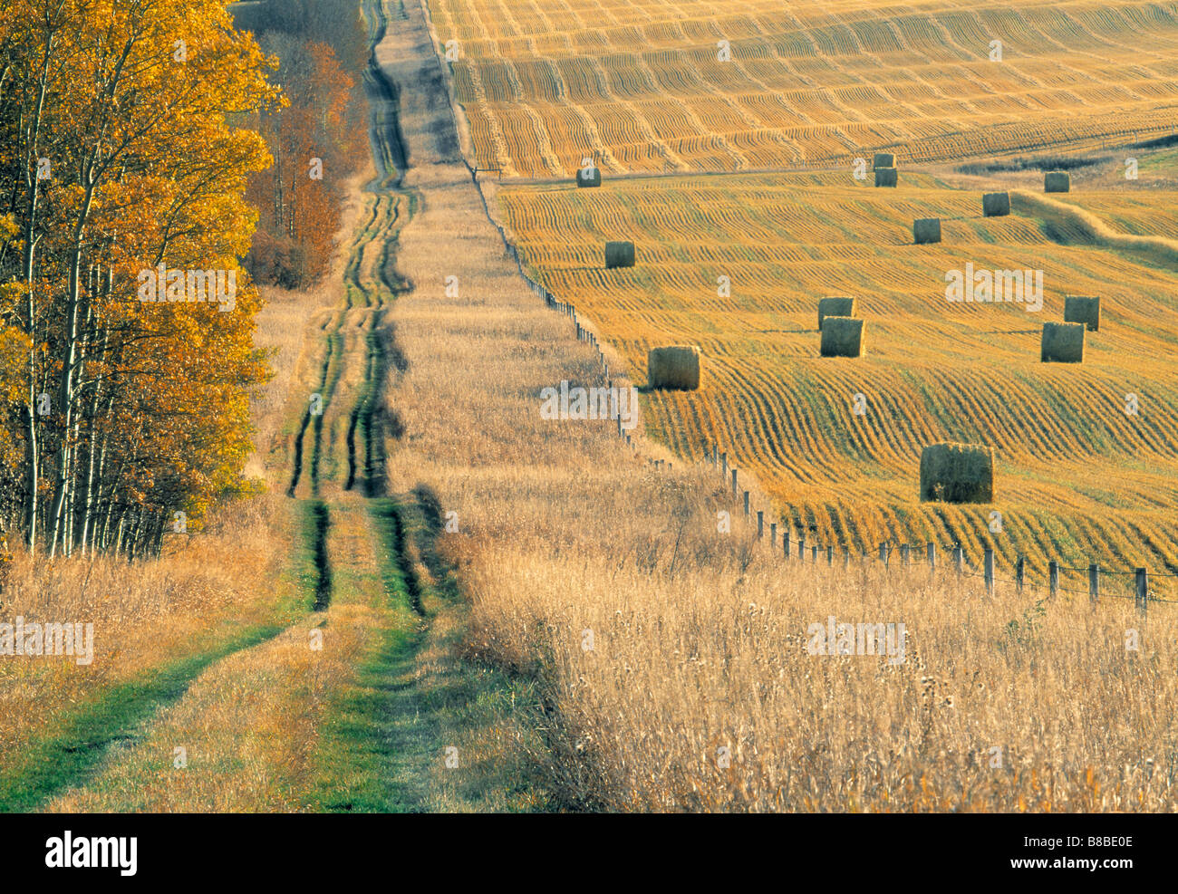 Cremona road hi-res stock photography and images - Alamy